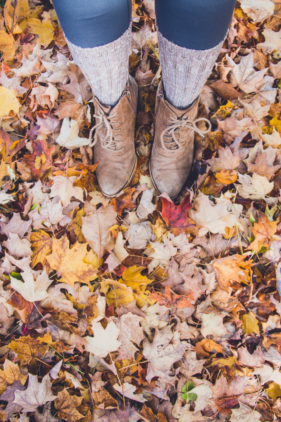 Best Things to Do in Traverse City in The Fall | Shalee Wanders Travel Blog