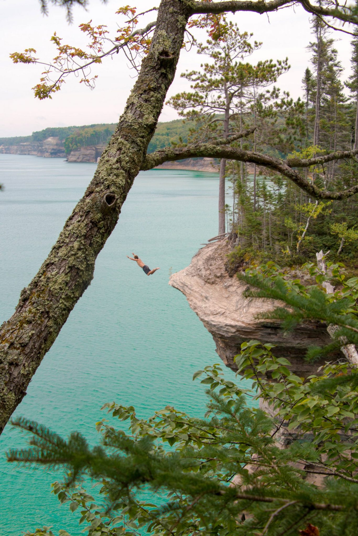 Top Things to Do in Michigan in 2021: Michigan Bucket List - Shalee ...