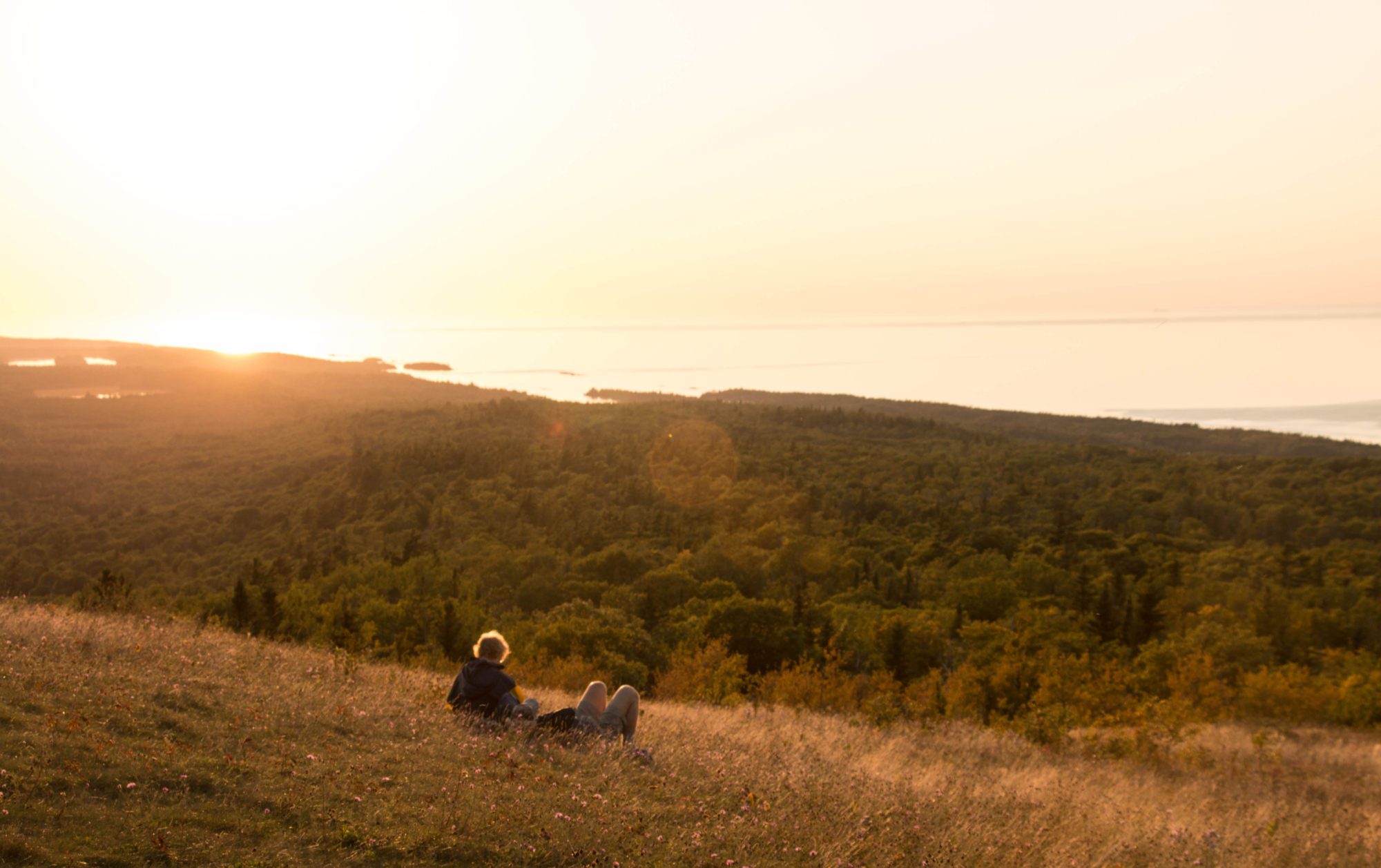 Where to See Fall Colors in Michigan - Shalee Wanders