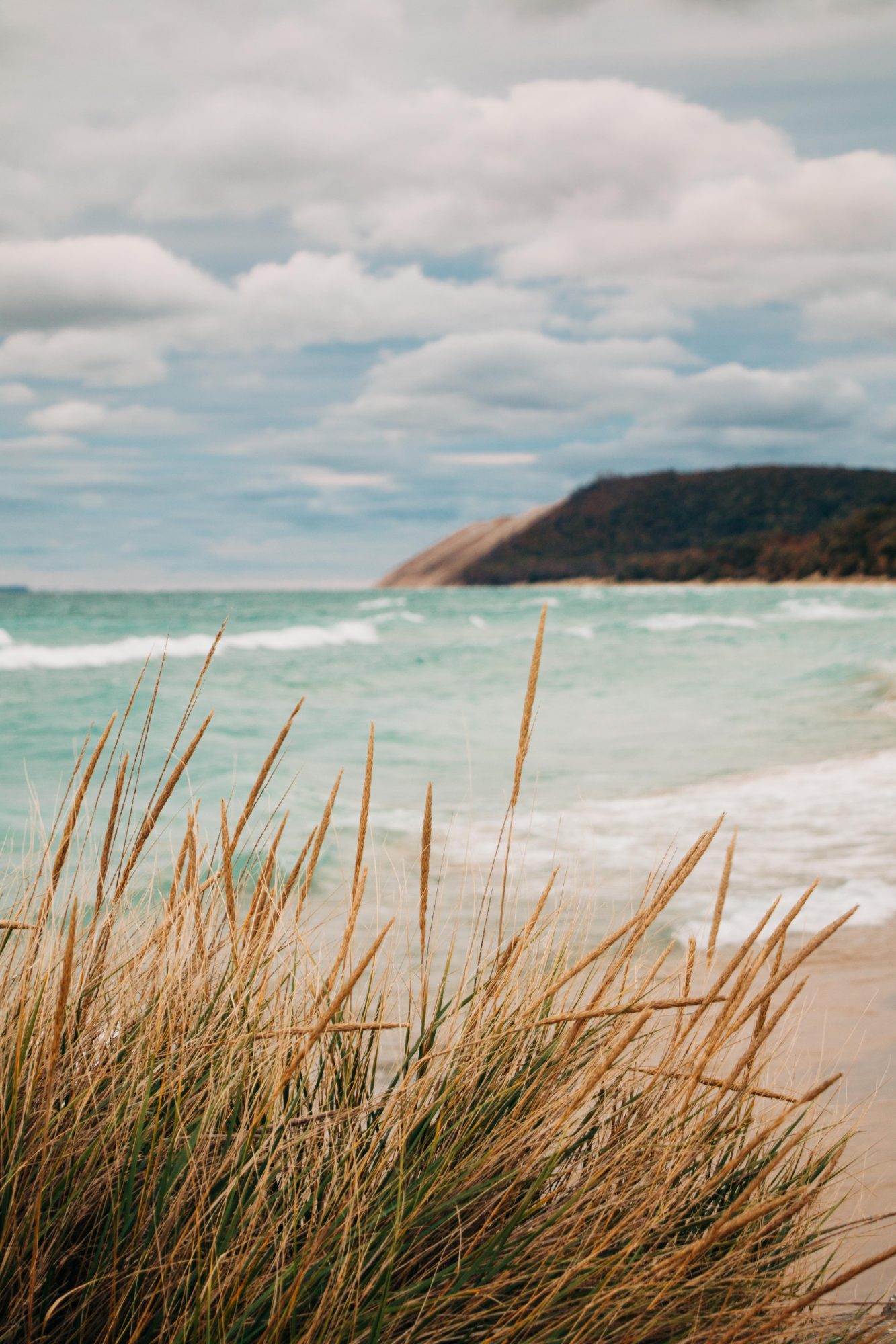 Where to See Fall Colors in Michigan - Shalee Wanders