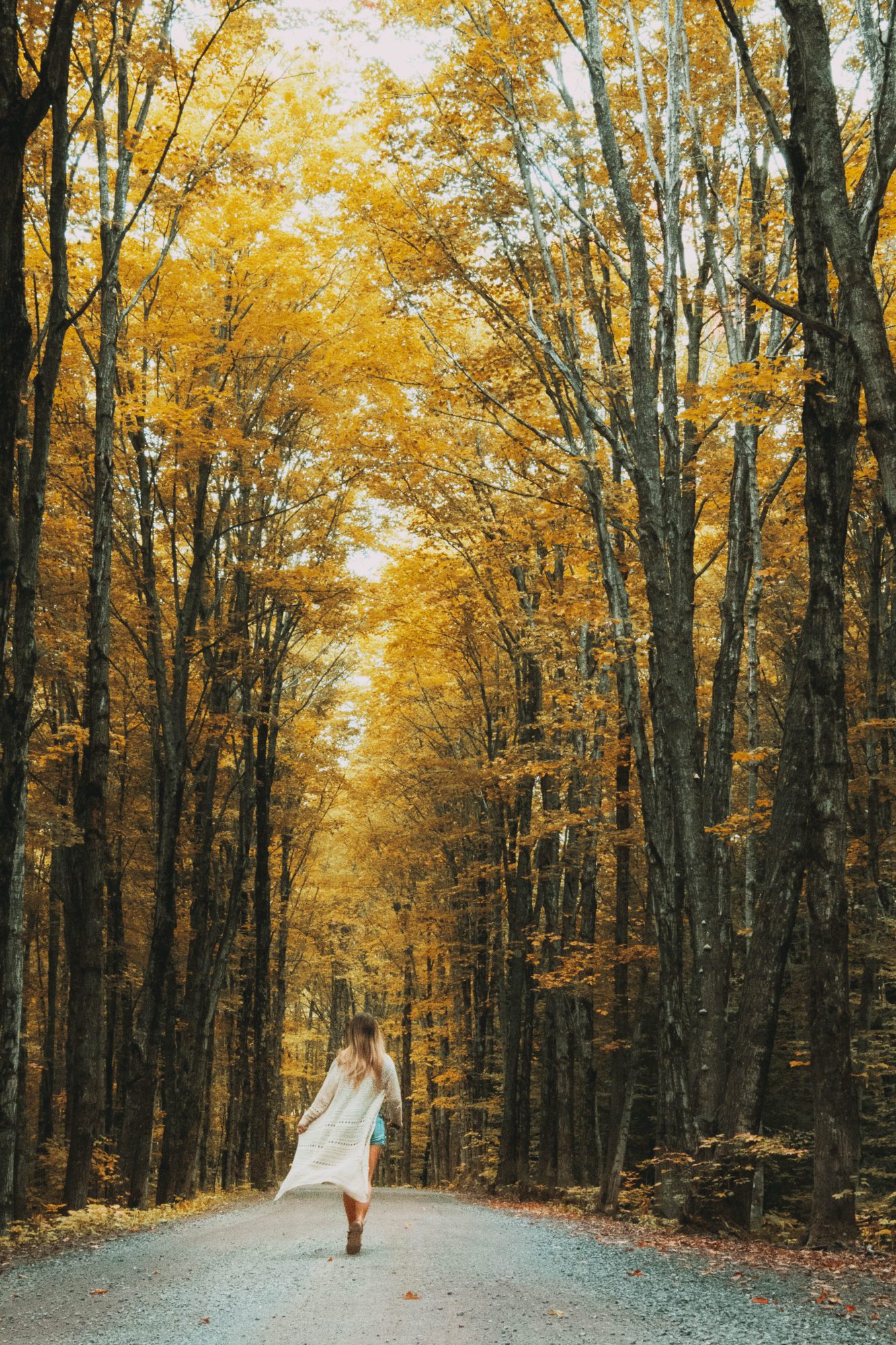 Where to See Fall Colors in Michigan - Shalee Wanders