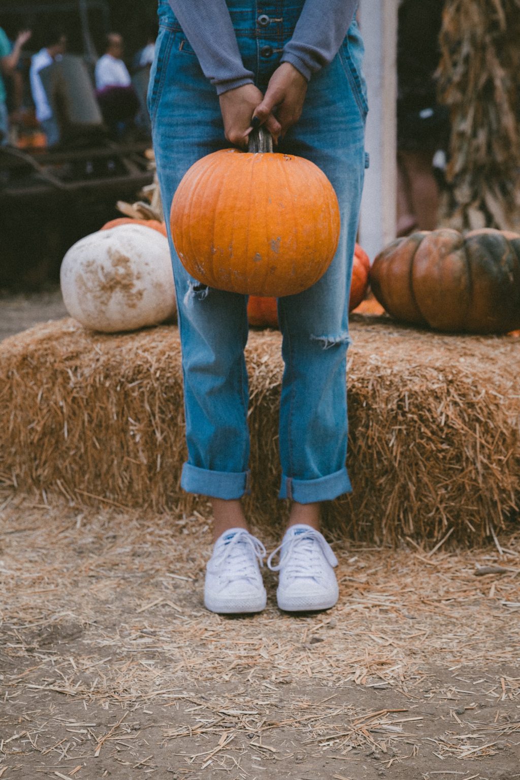 Where to See Fall Colors in Michigan - Shalee Wanders