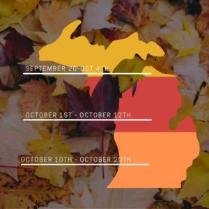 Where to See Fall Colors in Michigan - Shalee Wanders