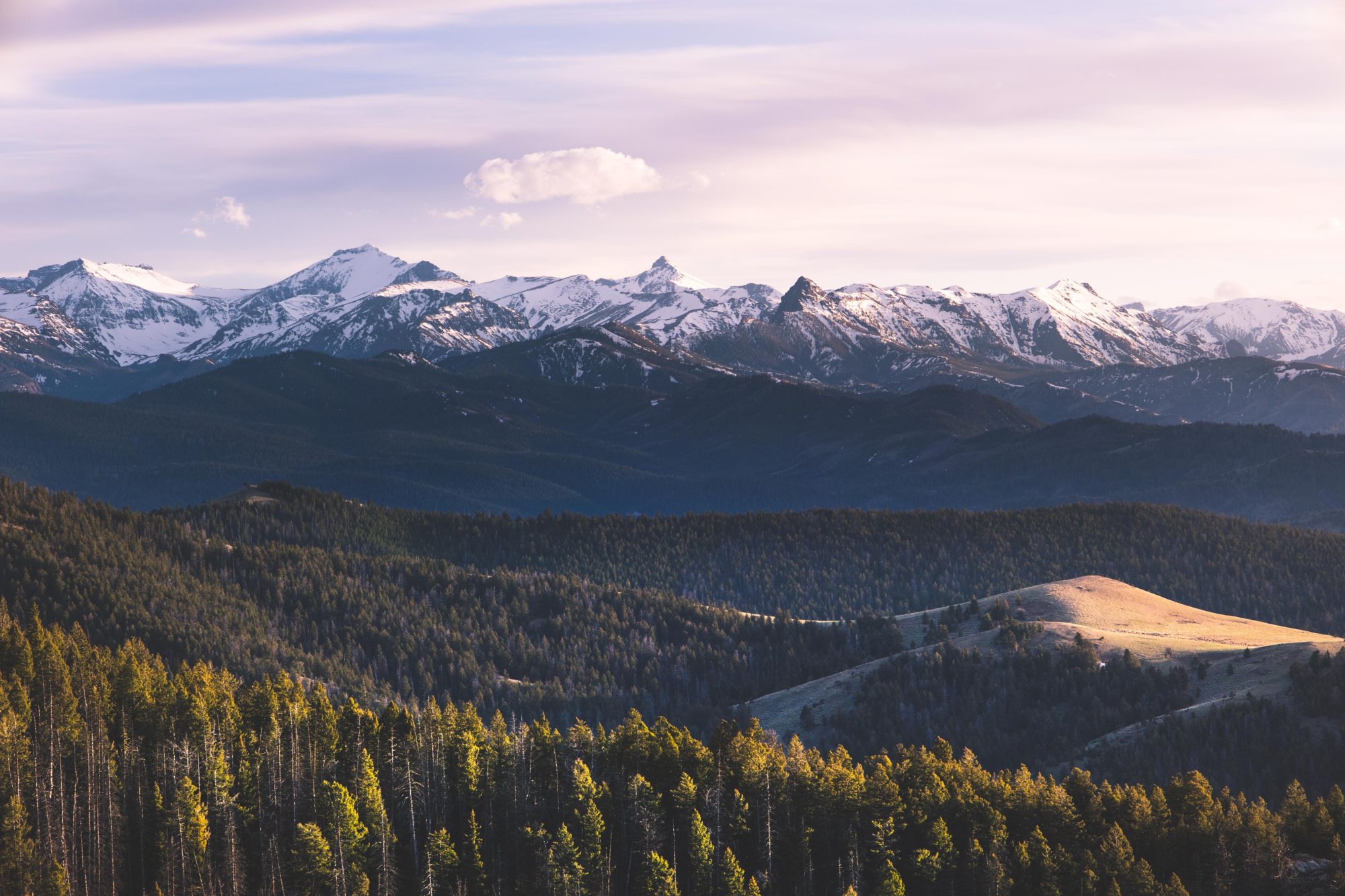 Top 10 Things to Do in Cody, Wyoming - Shalee Wanders Travel Blog