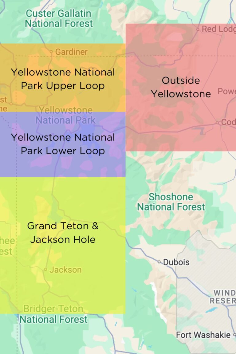 Yellowstone & Grand Teton National Park Road Trip Guide - Shalee Wanders